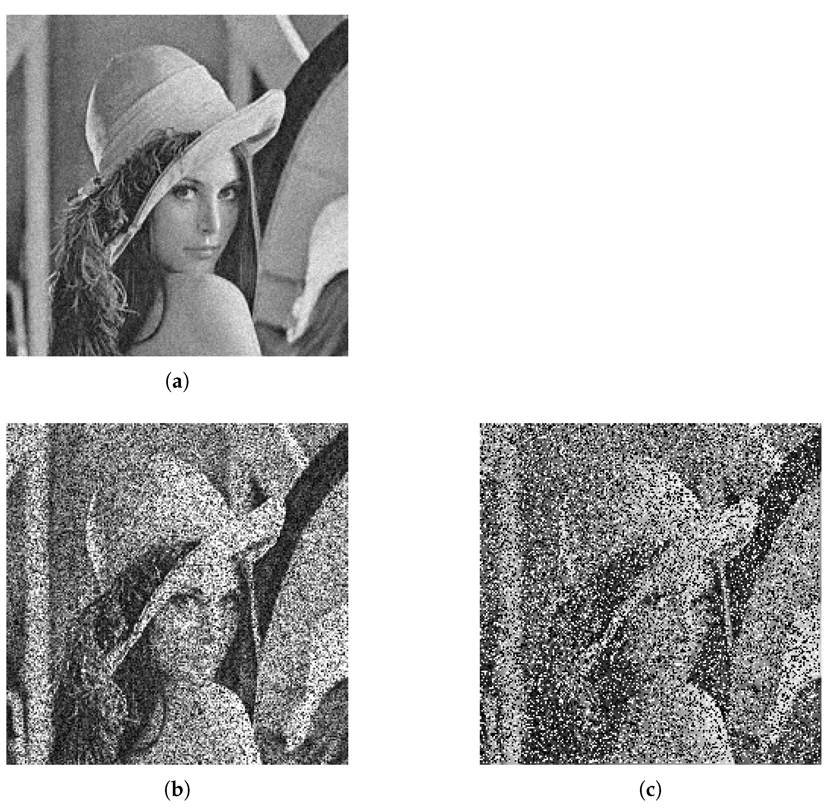 A Study on Distortion Estimation Based on Image Gradients