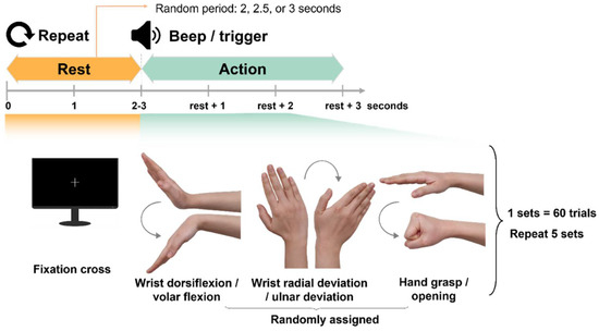 Sensors | Free Full-Text | Enhanced Recognition of Amputated Wrist and Hand Movements by Deep ...