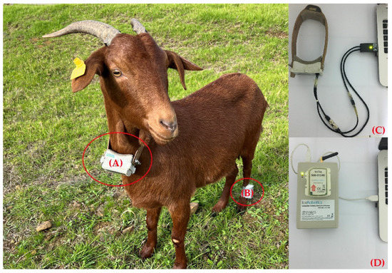 Using GPS Collars and Sensors to Investigate the Grazing Behavior and ...