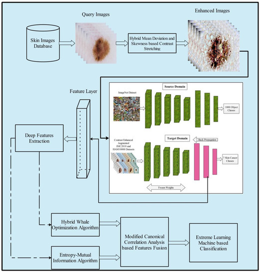 Sensors | Free Full-Text | Multiclass Skin Lesion Classification Using Hybrid Deep Features ...