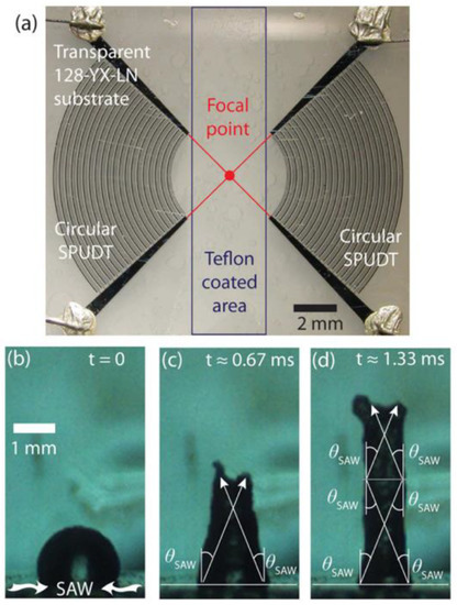 Surface Acoustic Wave (SAW) Sensors: Physics, Materials, and Applications