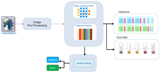Automated Breast Cancer Detection Models Based on Transfer Learning