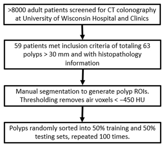 An Adaptive Learning Model for Multiscale Texture Features in Polyp Classification via Computed ...
