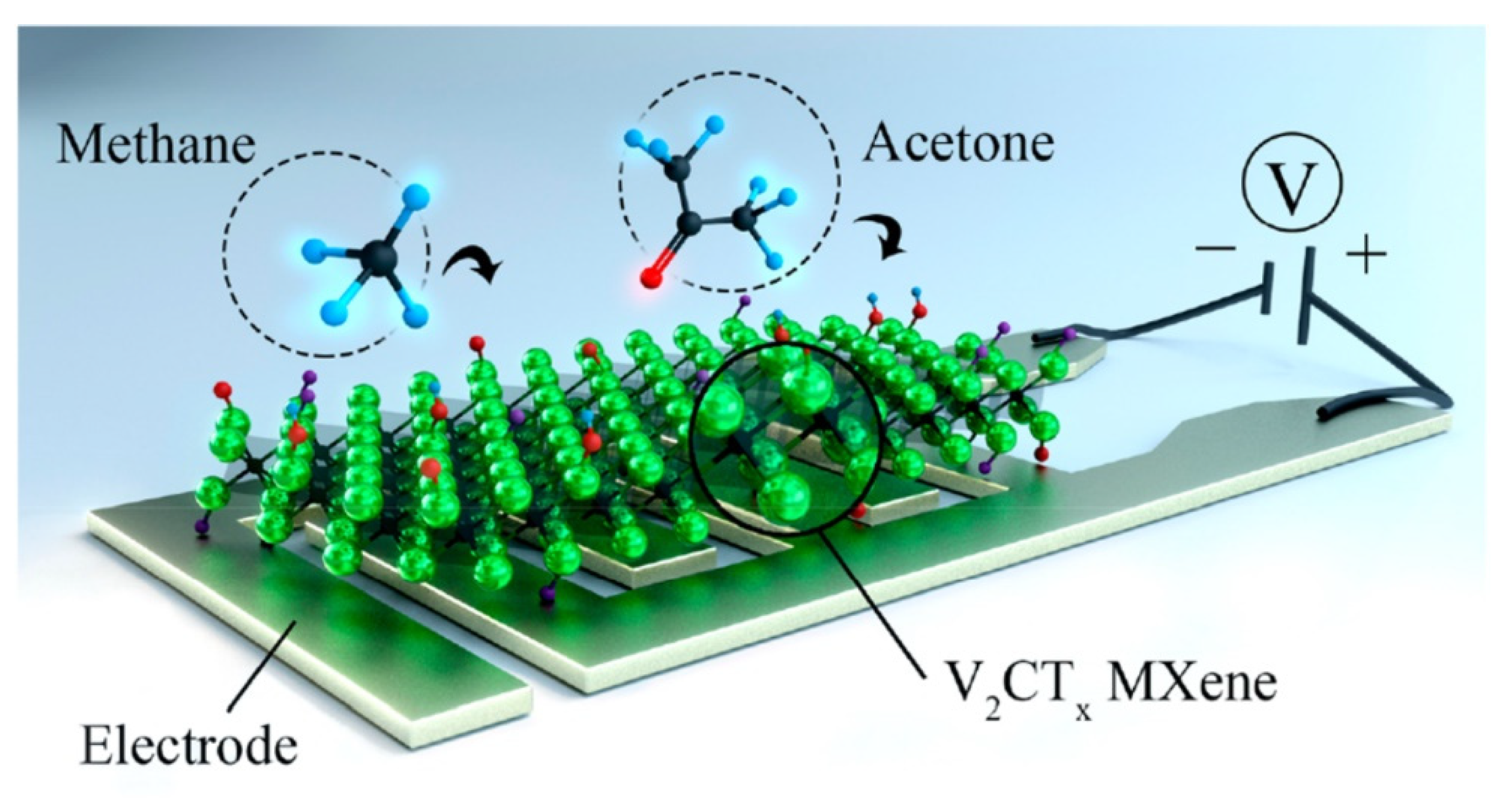 Sensors | Free Full-Text | MXene Heterostructures as Perspective ...