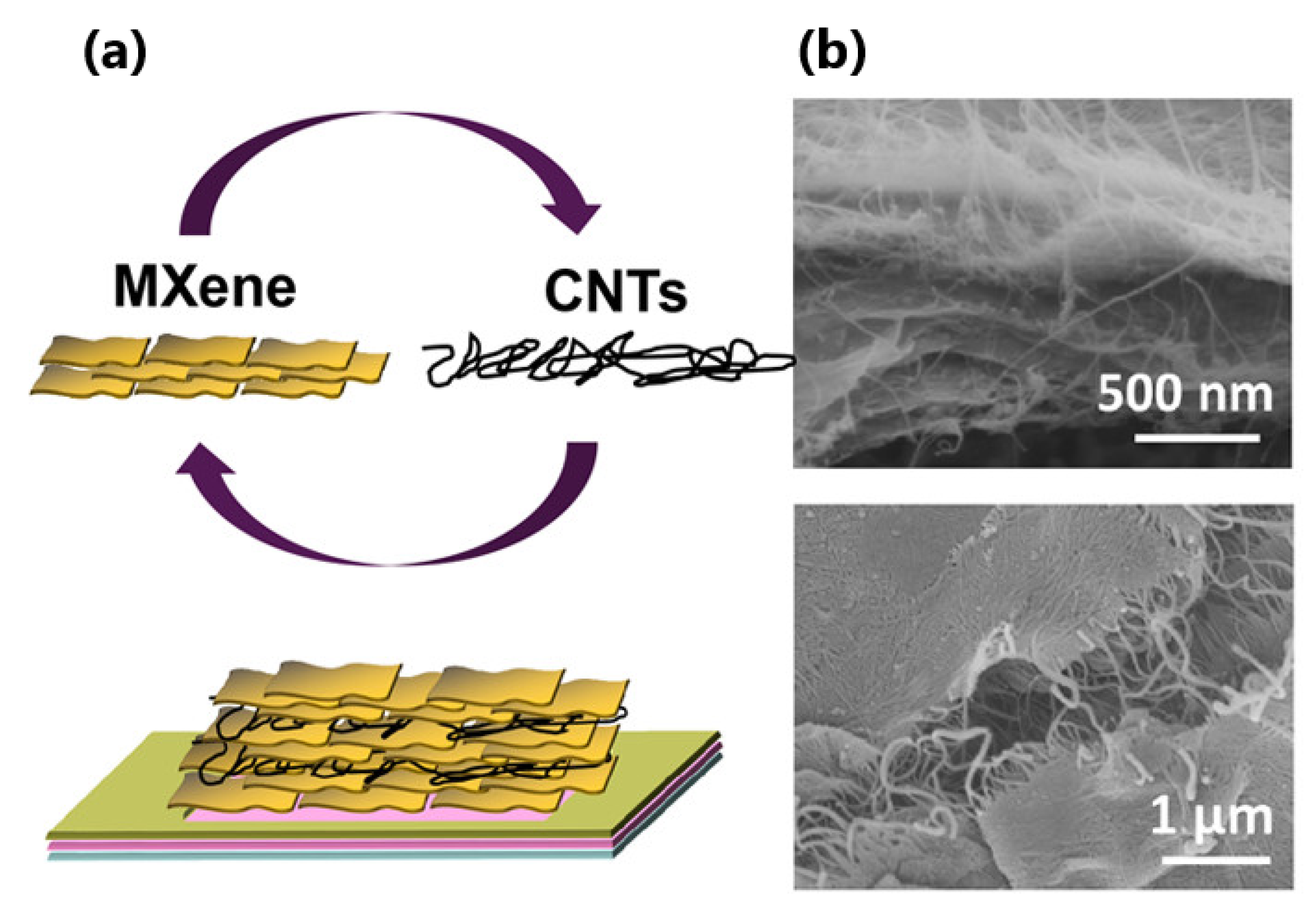 Sensors | Free Full-Text | MXene Heterostructures as Perspective Materials for Gas Sensing ...