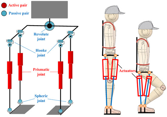 Design and Control of a Series–Parallel Elastic Actuator for a Weight-Bearing Exoskeleton Robot