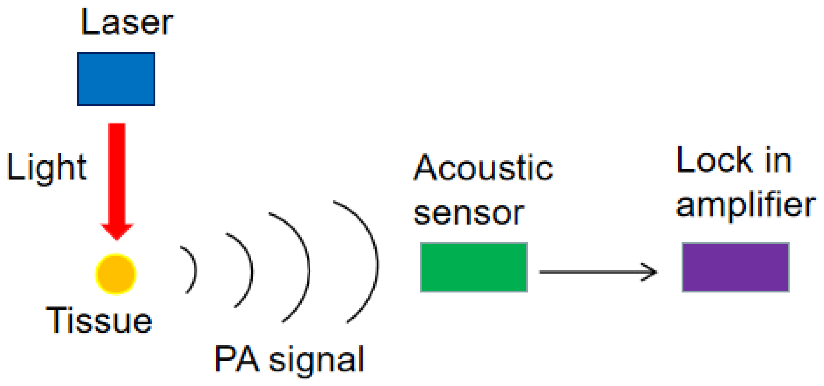 Non-Invasive Monitoring of Human Health by Photoacoustic Spectroscopy