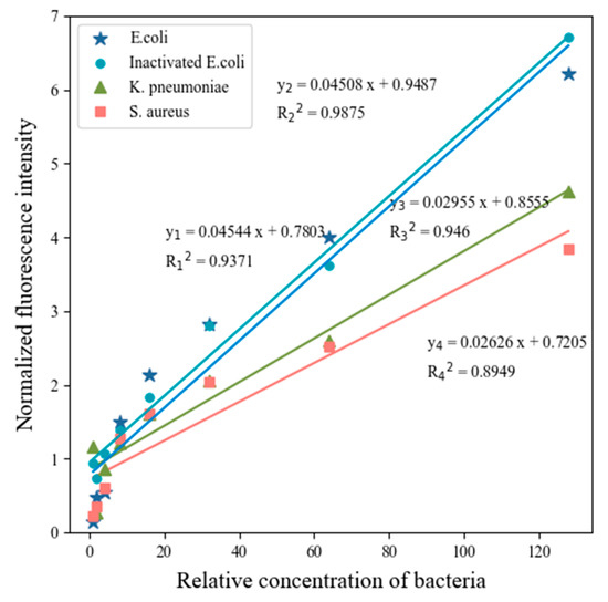Rapid Detection of Three Common Bacteria Based on Fluorescence Spectroscopy