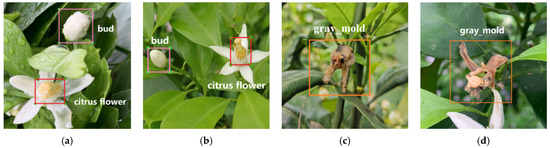 Sensors | Free Full-Text | Embedded Sensing System for Recognizing ...