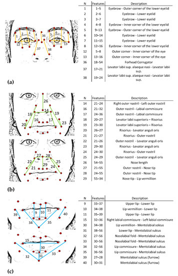 Quantitative Evaluation of Hypomimia in Parkinson’s Disease: A Face ...