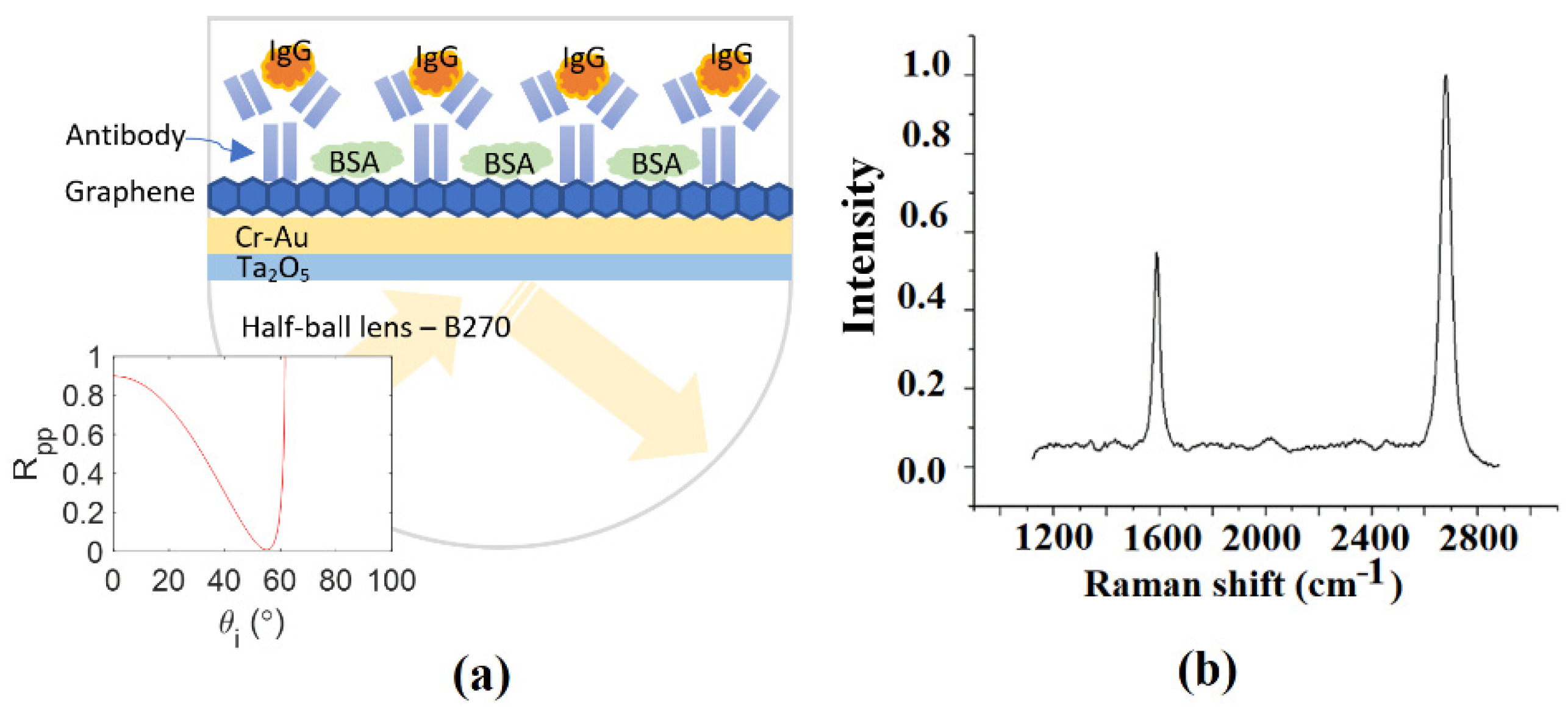 Single-Layer-Graphene-Coated and Gold-Film-Based Surface Plasmon ...