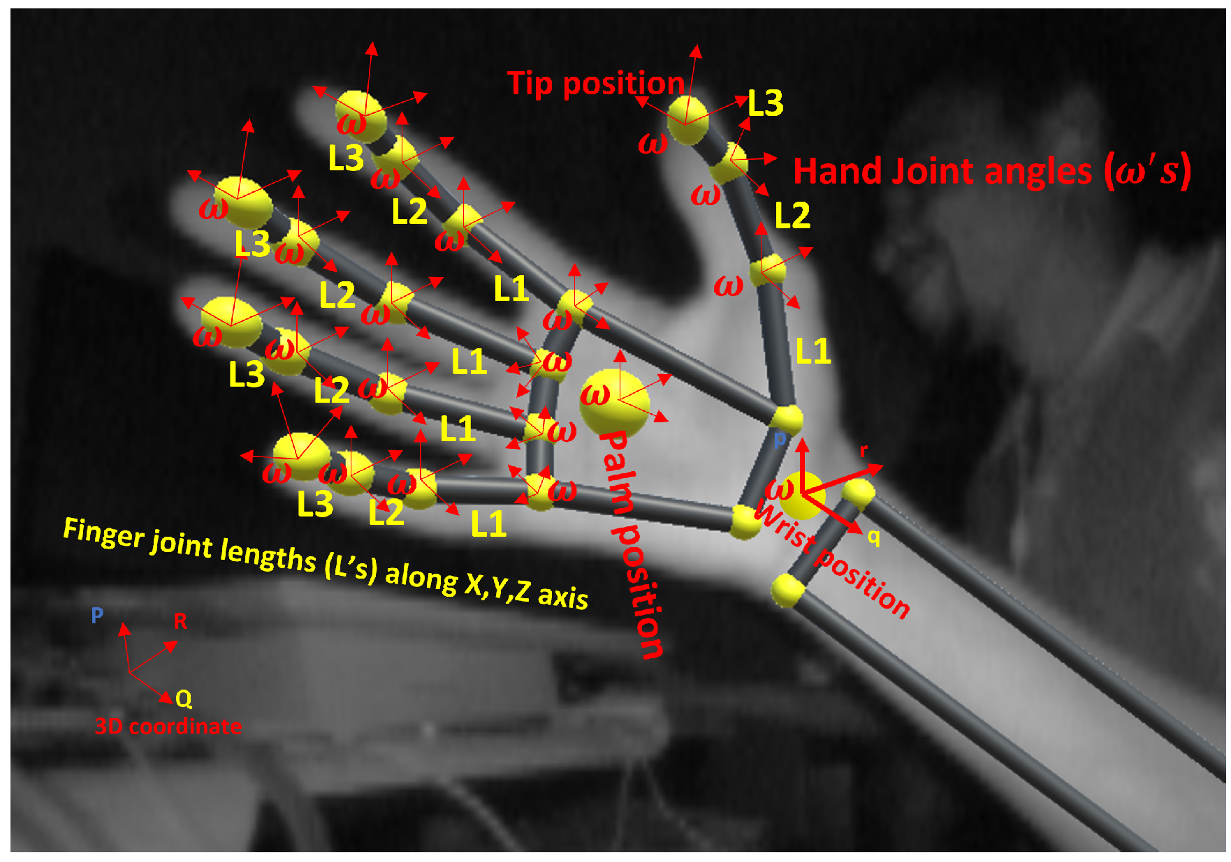 Sensors | Free Full-Text | American Sign Language Words Recognition of Skeletal Videos Using ...