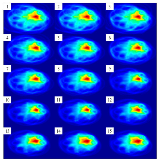 A New Probabilistic Ellipse Imaging Method Based on Adaptive Signal ...