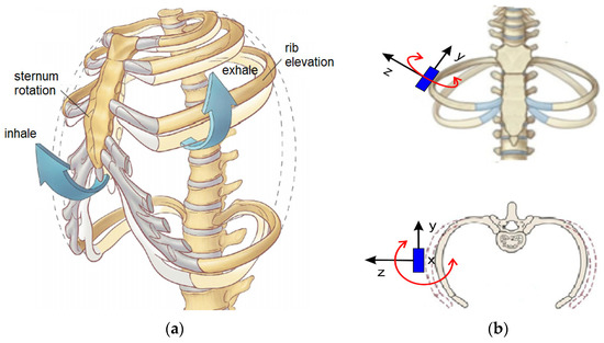 An Analysis of Respiration with the Smart Sensor SENSIRIB in Patients ...