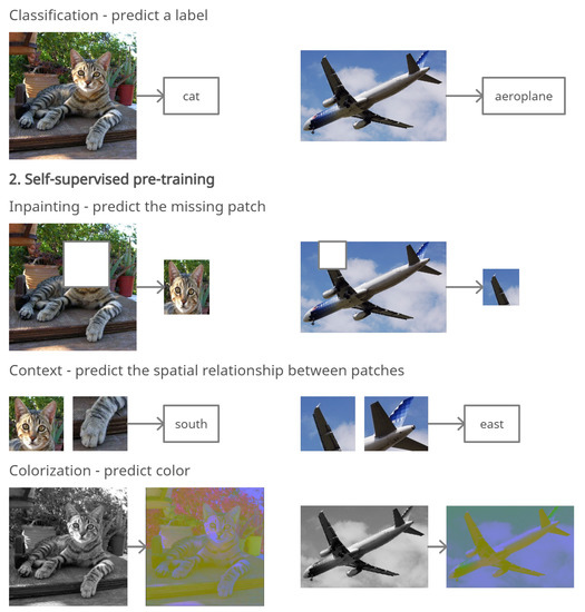 GAN-Based Image Colorization for Self-Supervised Visual Feature Learning