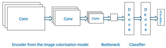 GAN-Based Image Colorization for Self-Supervised Visual Feature Learning