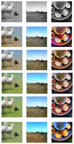 GAN-Based Image Colorization for Self-Supervised Visual Feature Learning