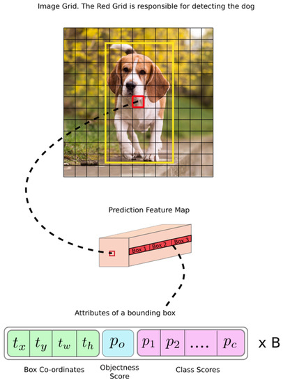 Sensors | Free Full-Text | Automatic Object Detection Algorithm-Based Braille Image Generation ...