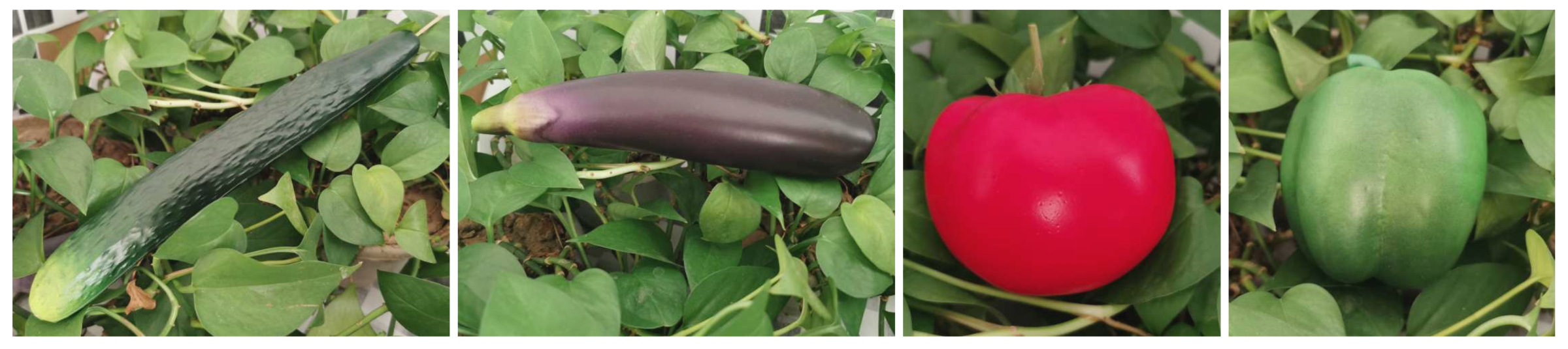 Vegetable Size Measurement Based on Stereo Camera and Keypoints Detection