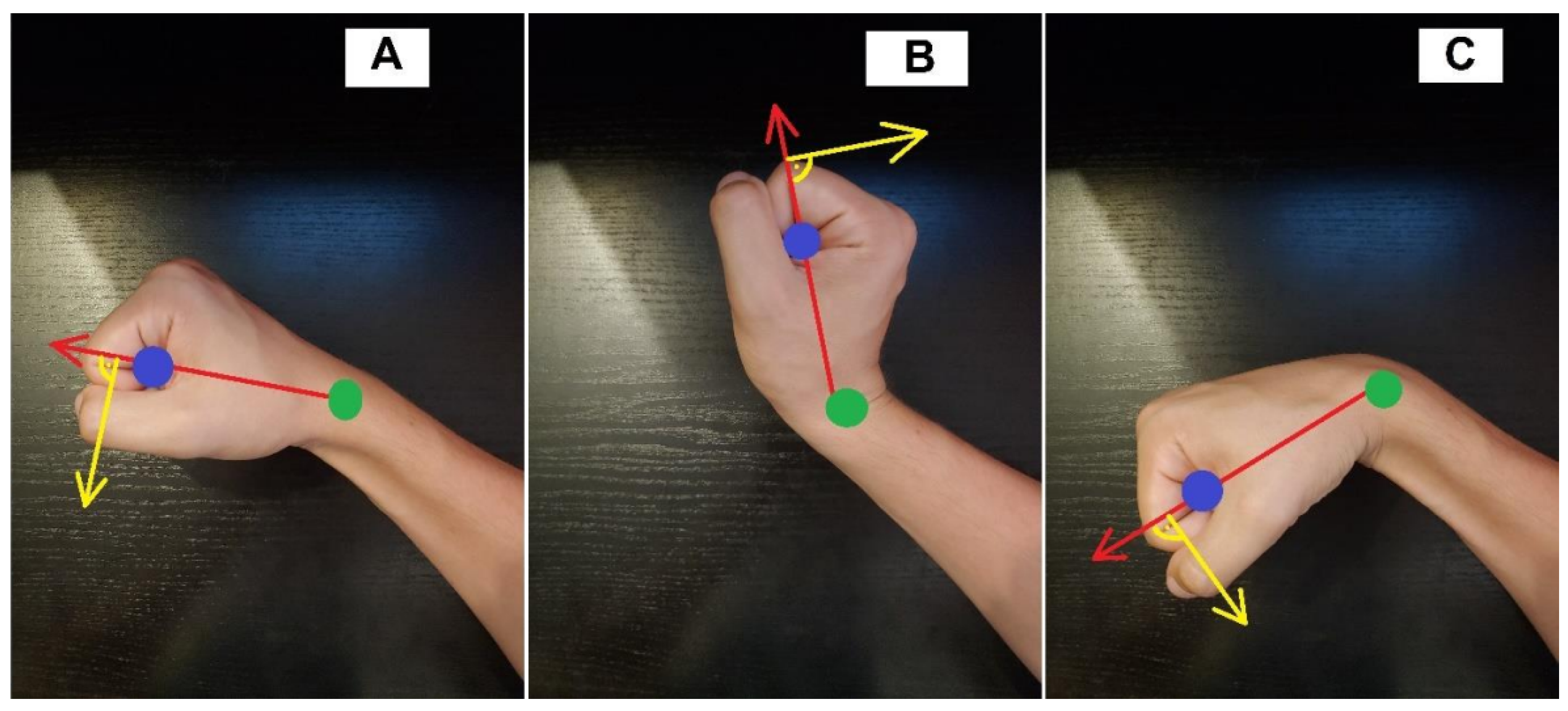 Hand Measurement System Based on Haptic and Vision Devices towards Post ...