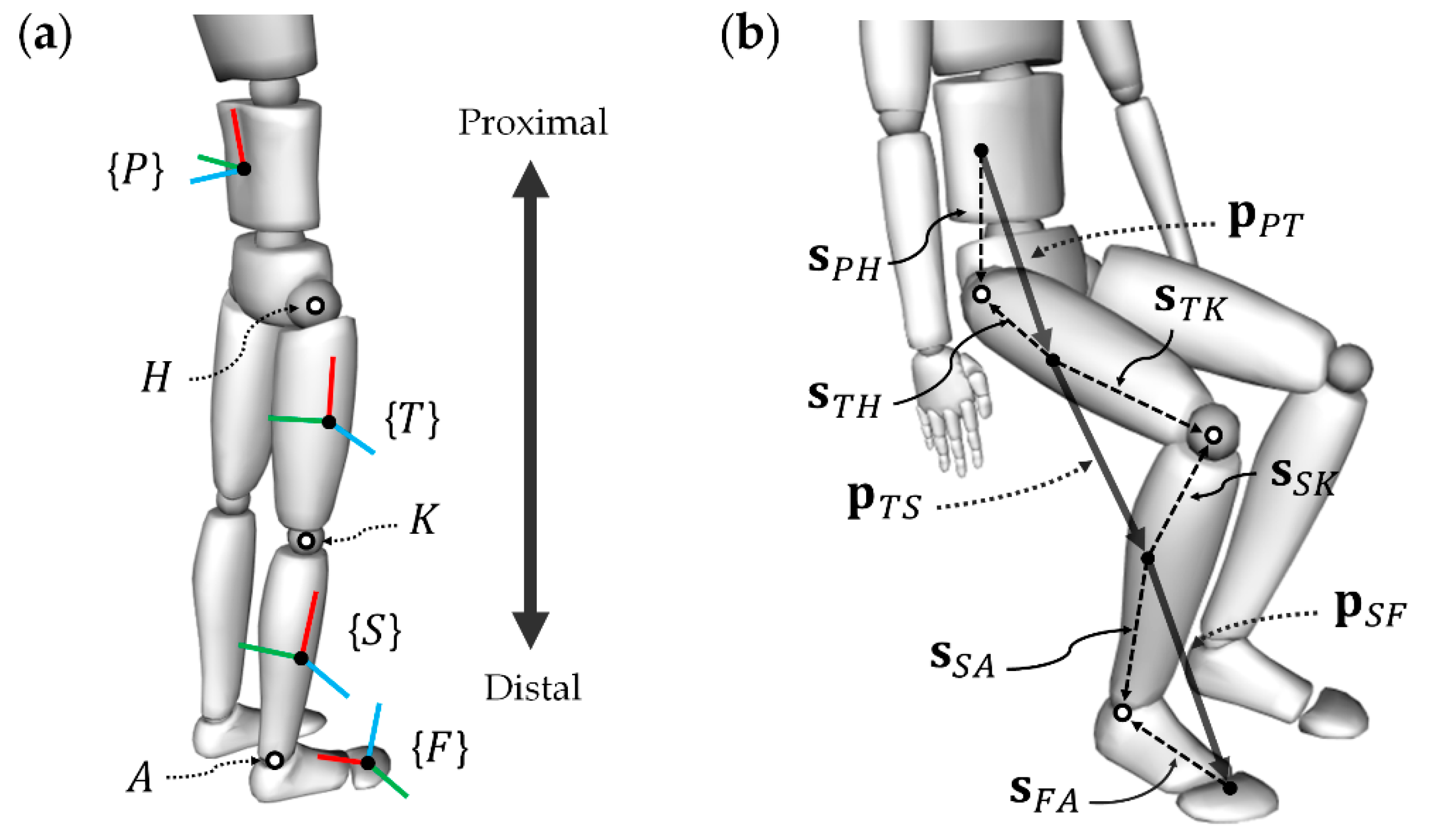Sensors Free Full Text Wearable Immu Based Relative Position Estimation Between Body