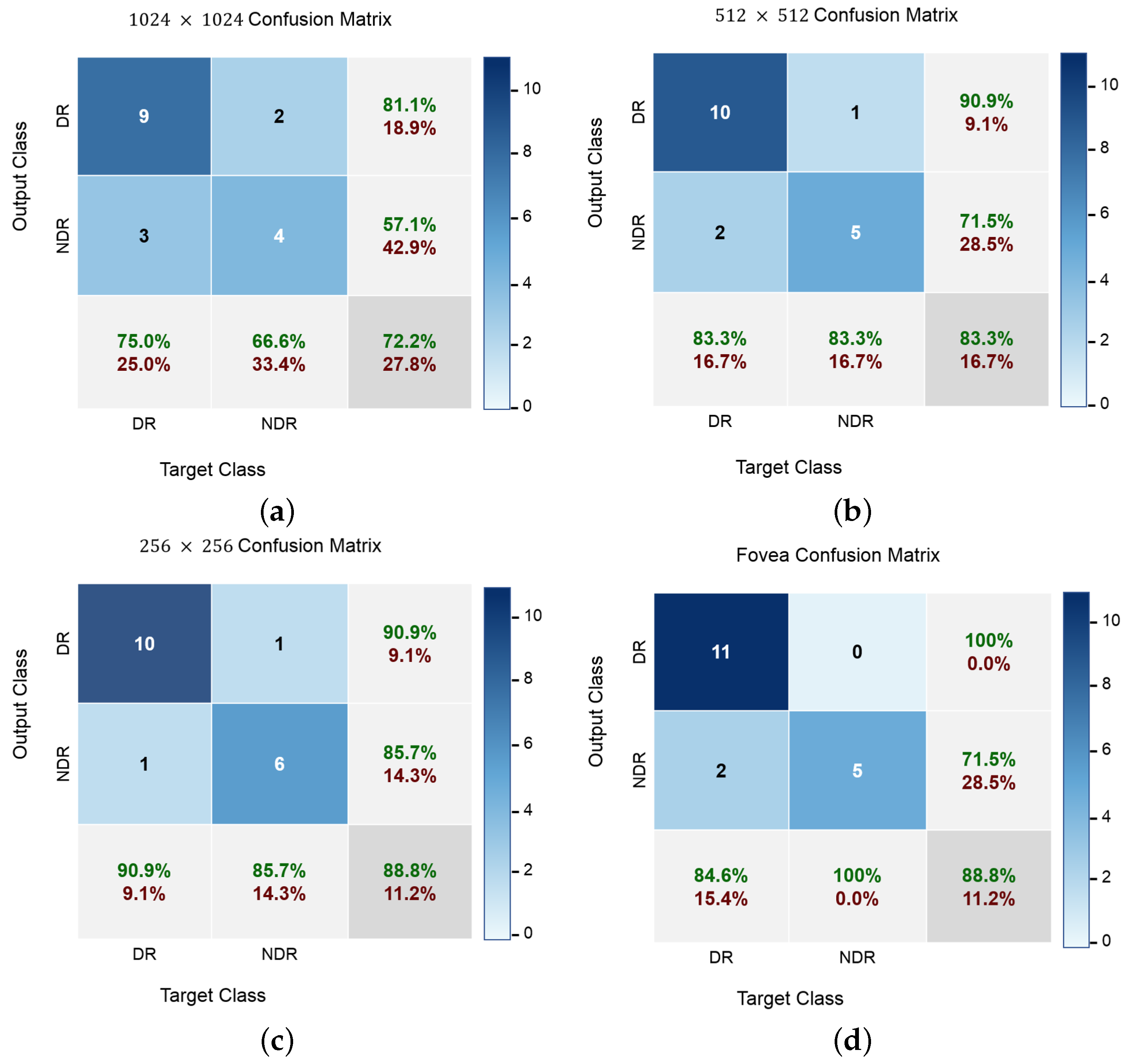 Automated Diagnosis of Optical Coherence Tomography Angiography (OCTA ...
