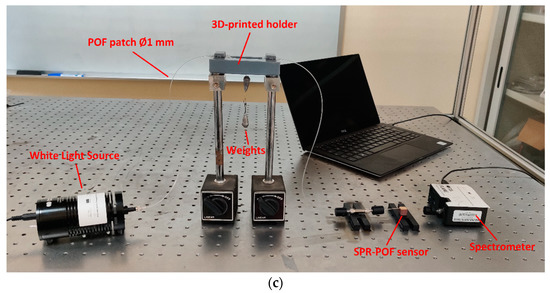 Exploiting Plasmonic Phenomena in Polymer Optical Fibers to Realize a ...