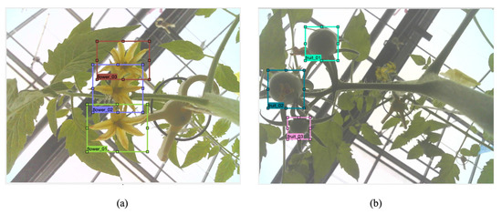 An Automated, Clip-Type, Small Internet of Things Camera-Based Tomato ...