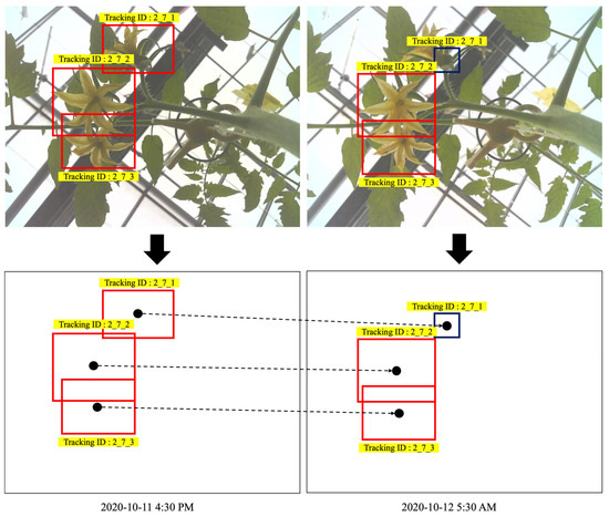 An Automated, Clip-Type, Small Internet of Things Camera-Based Tomato ...
