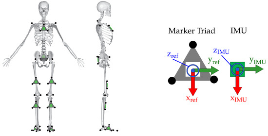Sensors | Free Full-Text | Body-Worn IMU-Based Human Hip and Knee Kinematics Estimation during ...