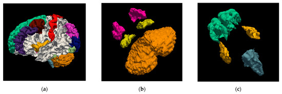 Deep 3D Neural Network for Brain Structures Segmentation Using Self ...