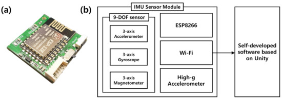 Development of an Inertial Sensor Module for Categorizing Anomalous ...