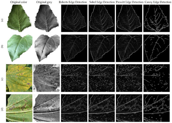 Sensors | Free Full-Text | Upper and Lower Leaf Side Detection with ...