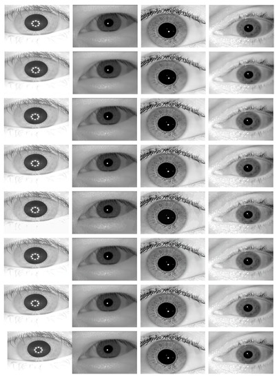 Iris Image Compression Using Deep Convolutional Neural Networks