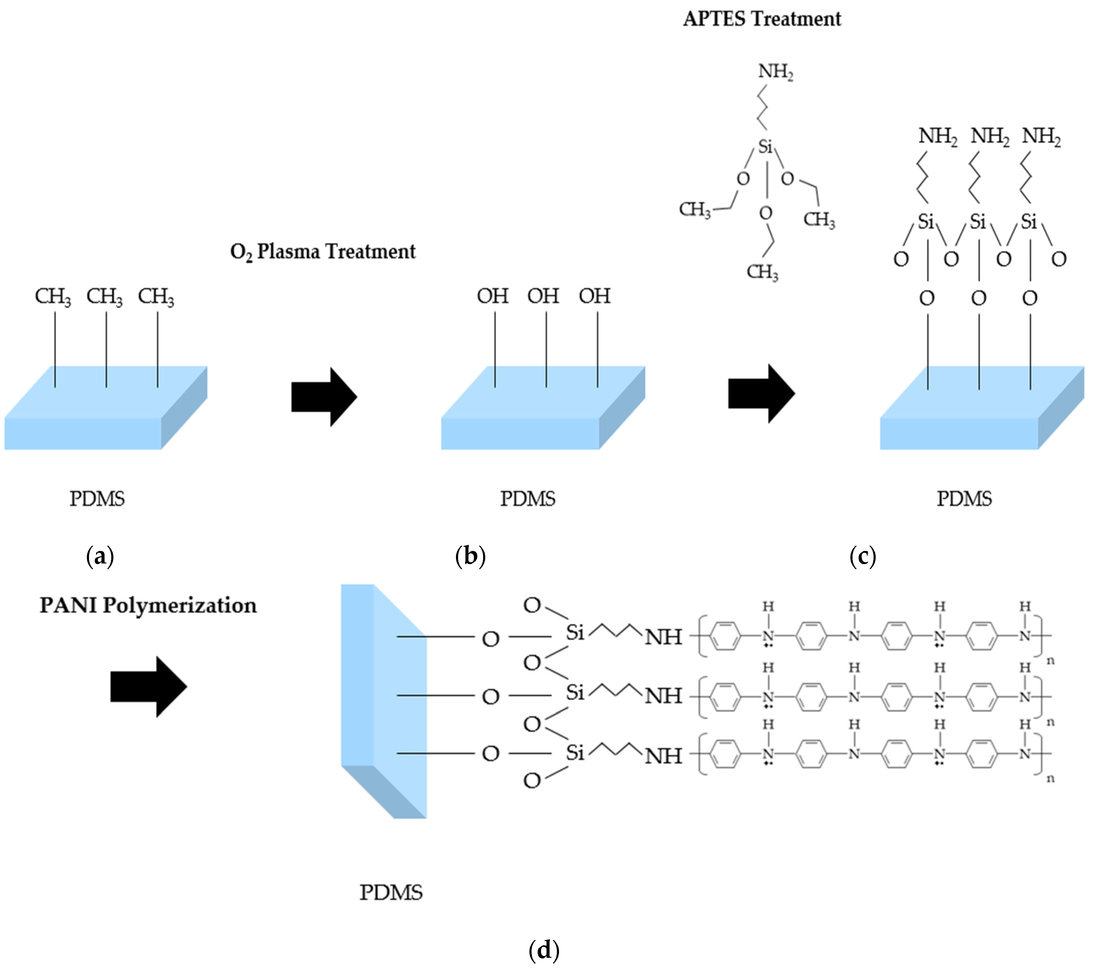 Dilute Polymerization of Aniline on PDMS Substrate via Surface Modification Using (3-Aminopropyl ...