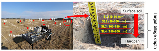 Analysis of the Effect of Tillage Depth on the Working Performance of ...