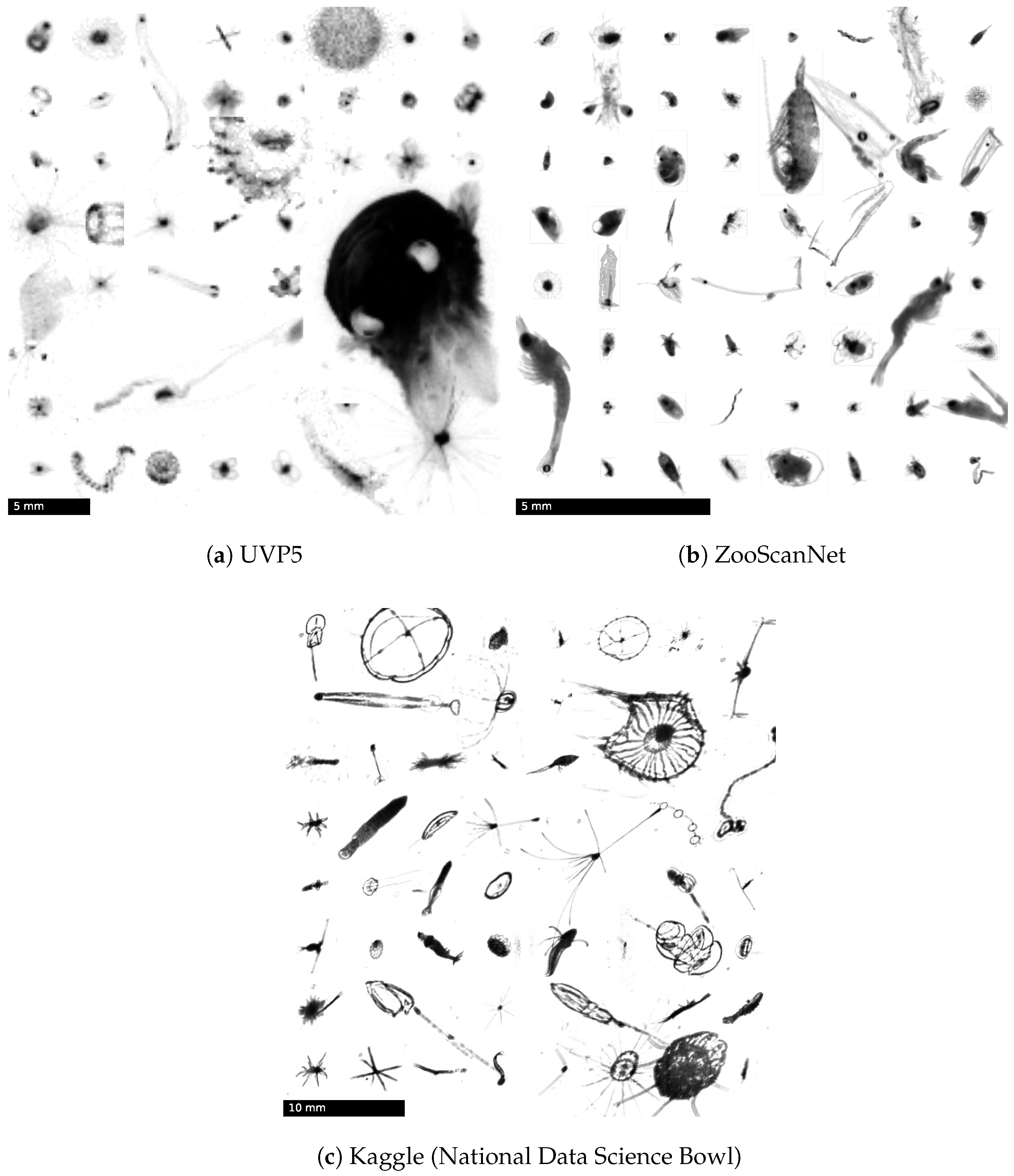 Sensors | Free Full-Text | Assessing Representation Learning and Clustering Algorithms for ...