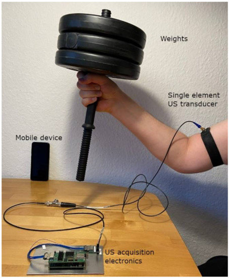 Classifying Muscle States with One-Dimensional Radio-Frequency Signals ...