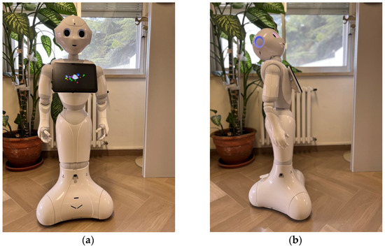 Emotion Recognizing by a Robotic Solution Initiative (EMOTIVE Project)
