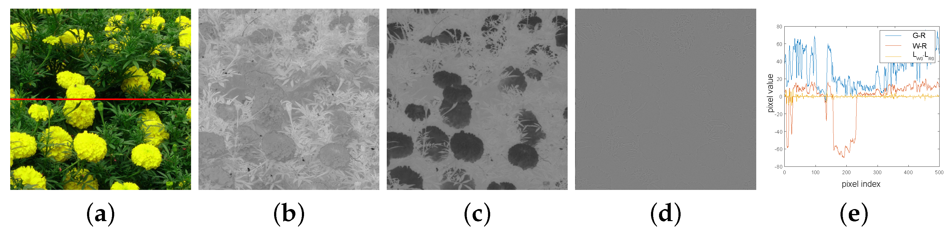 Color Demosaicing of RGBW Color Filter Array Based on Laplacian Pyramid