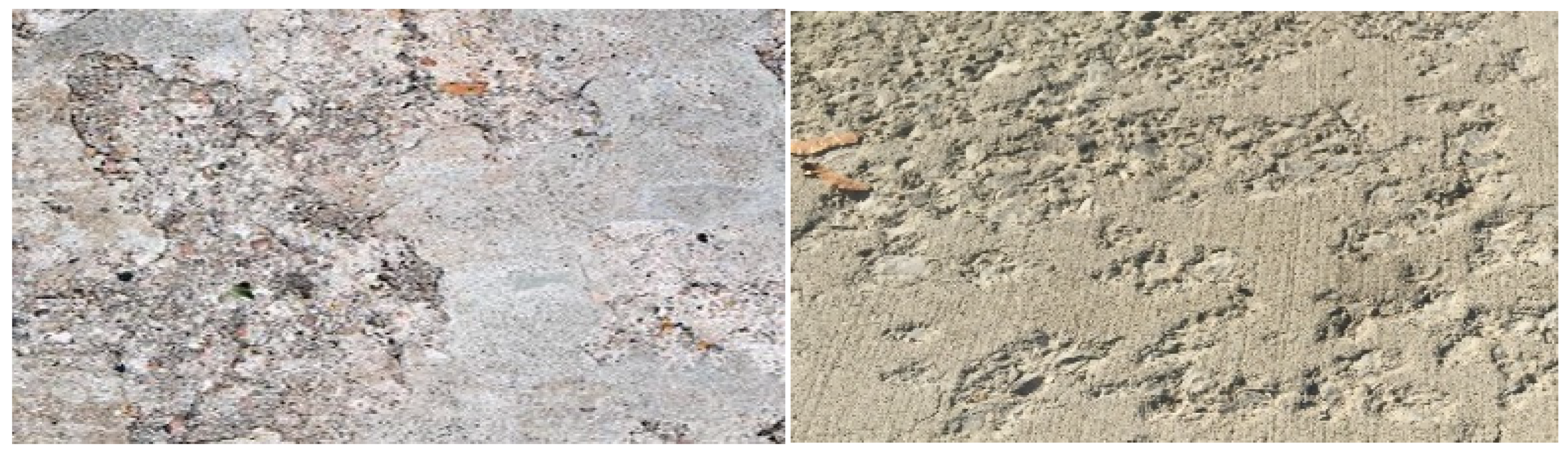 An Automated Image-Based Multivariant Concrete Defect Recognition Using ...