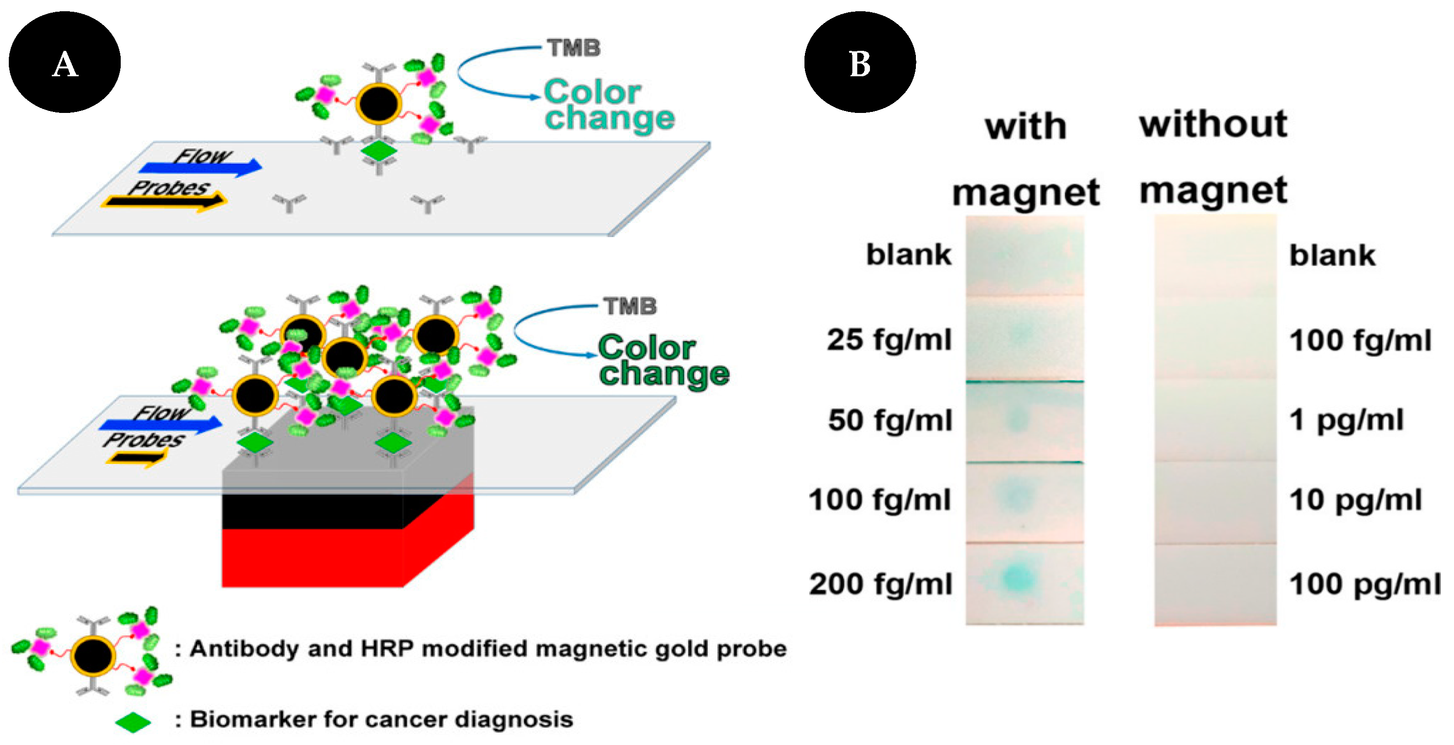 Colorimetric Paper-Based Sensors against Cancer Biomarkers