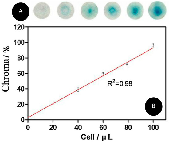Colorimetric Paper-Based Sensors against Cancer Biomarkers