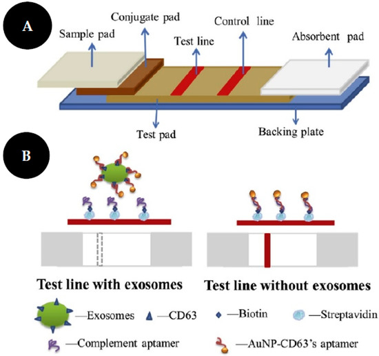 Colorimetric Paper-Based Sensors against Cancer Biomarkers