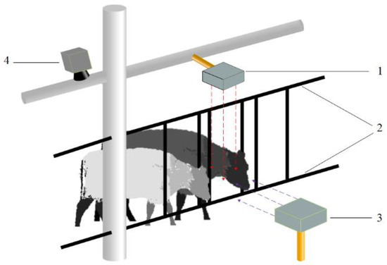 Automatic Detection Method of Dairy Cow Feeding Behaviour Based on YOLO ...