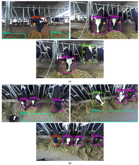 Automatic Detection Method of Dairy Cow Feeding Behaviour Based on YOLO ...