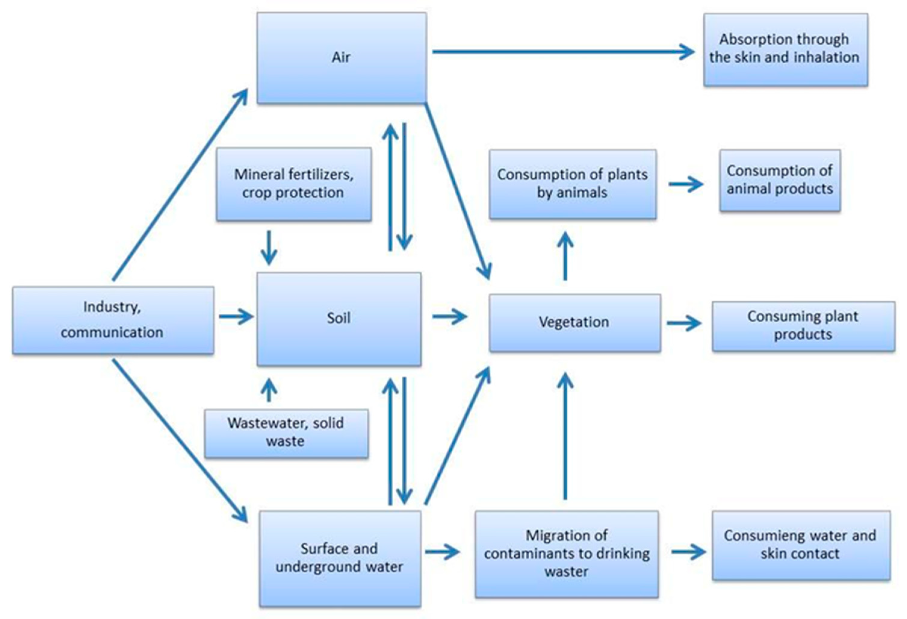 Sensors | Free Full-Text | Magnetic Nanoparticles as Effective Heavy ...