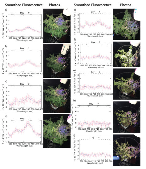 Sensors | Free Full-Text | Evaluation of Plant Stress Monitoring ...