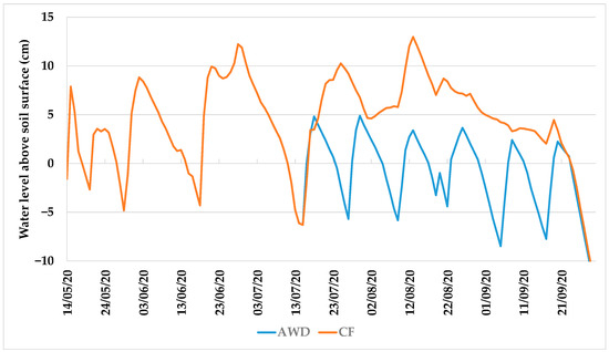 Alternate Wetting and Drying in the Center of Portugal: Effects on ...