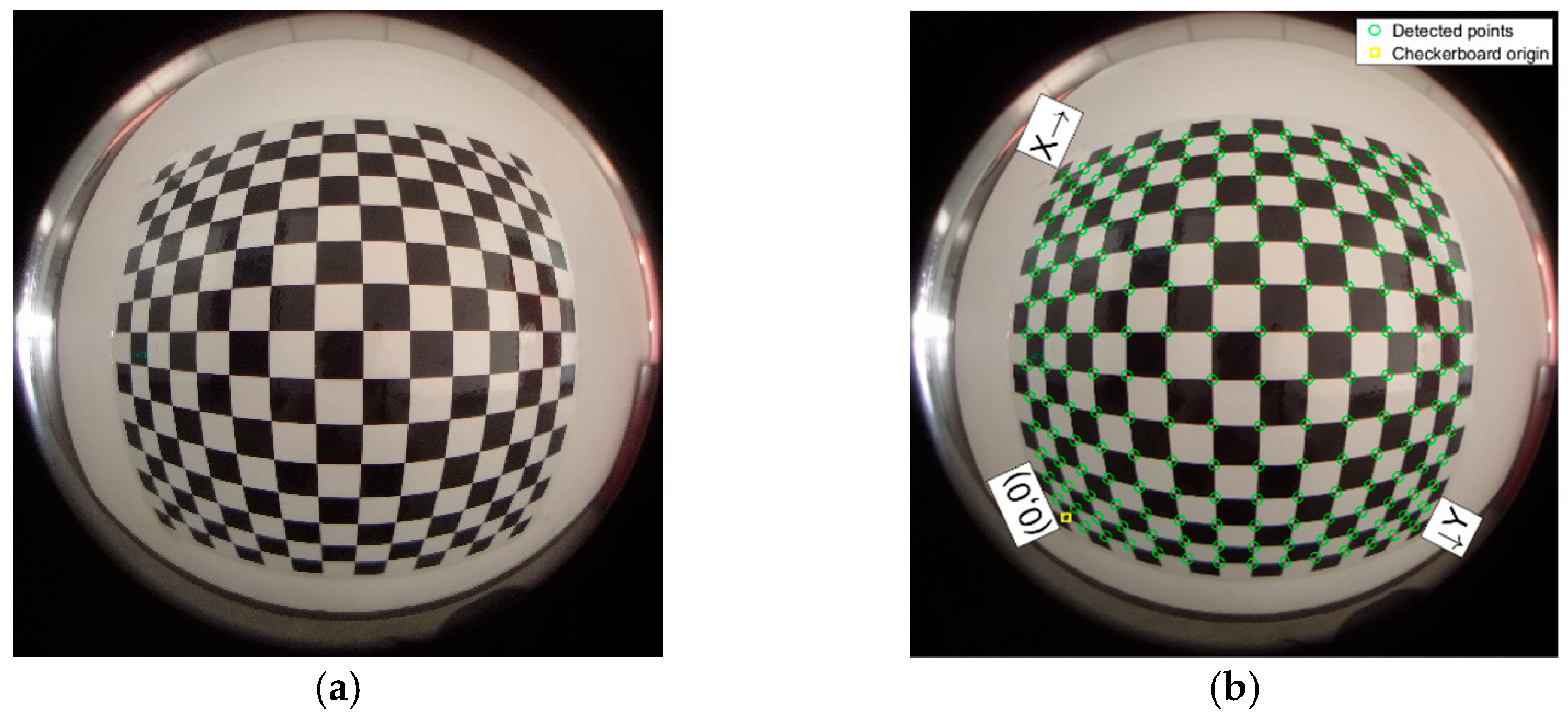 Fisheye Image Detection of Trees Using Improved YOLOX for Tree Height Estimation